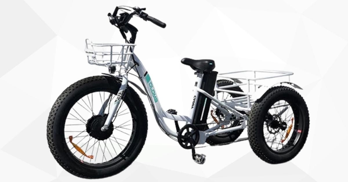 Emojo Caddy Pro eBike Review