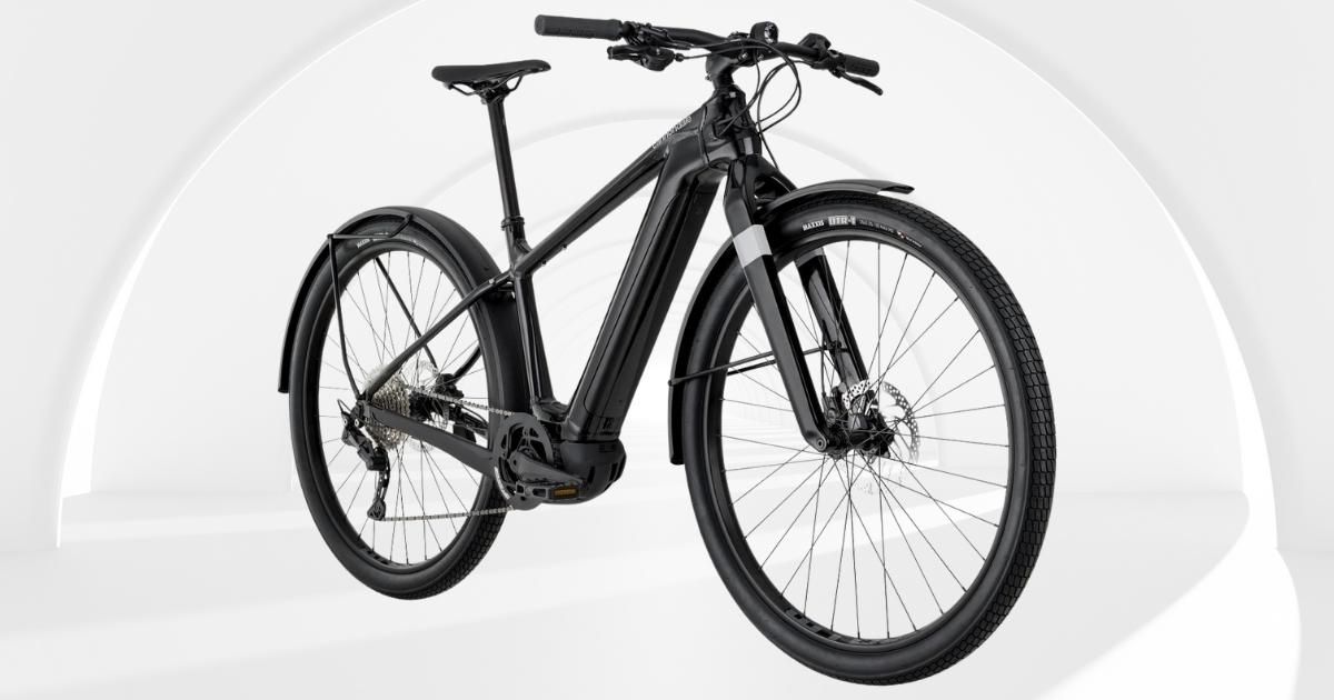 Cannondale Canvas Neo 1 eBike Review