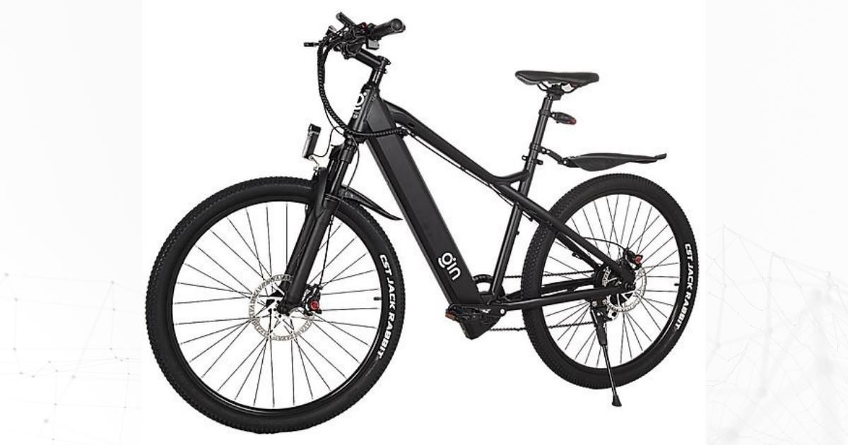 Gin X eBike Review