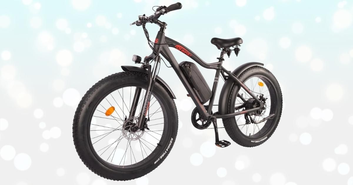DJ Fat Bike eBike Review